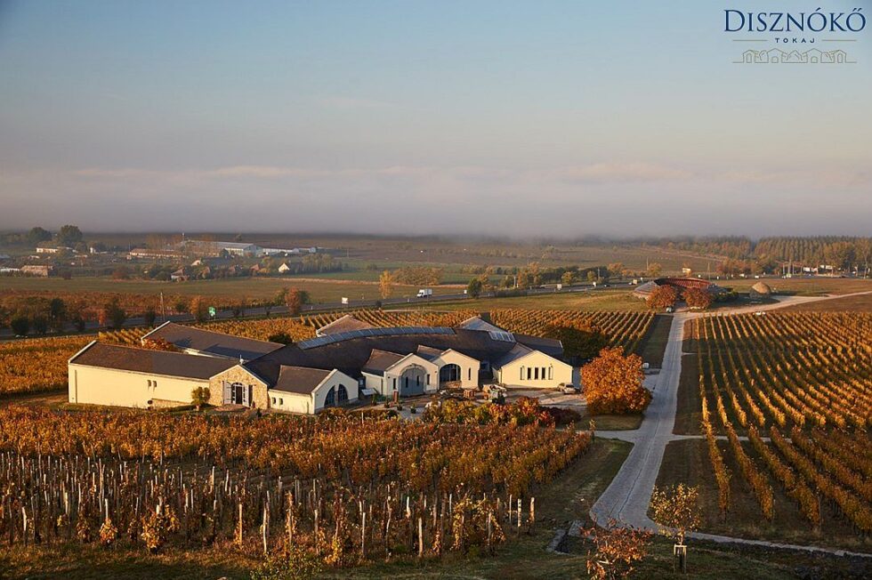 DISZNÓKŐ - a Wine & Spirits Top100-as listáján » Food & Wine